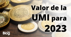 UMI 2023 - Blog 2000